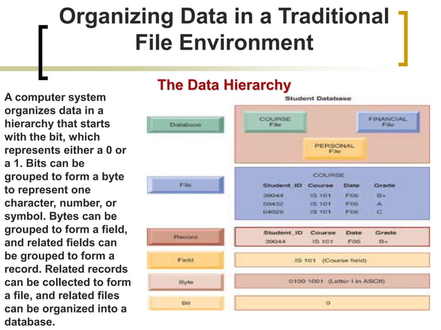 Database Lecture 1 Ppt