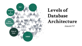 Database levels | PDF