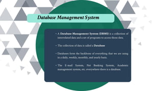 Database levels | PDF