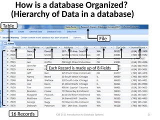 Best Data Base Management [introduction].pptx