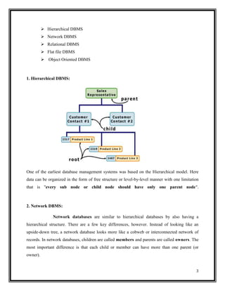 Database management system | DOCX