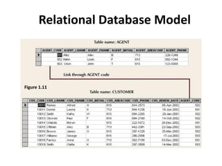 Introduction to Database Management Systems: Structure, Applications ...