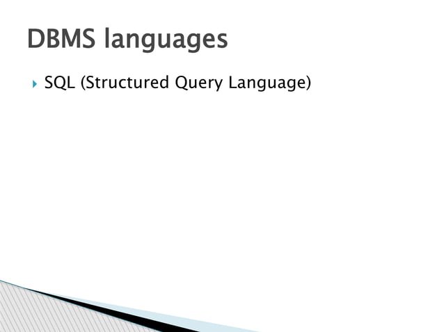 Database Management System (DBMS).pptx