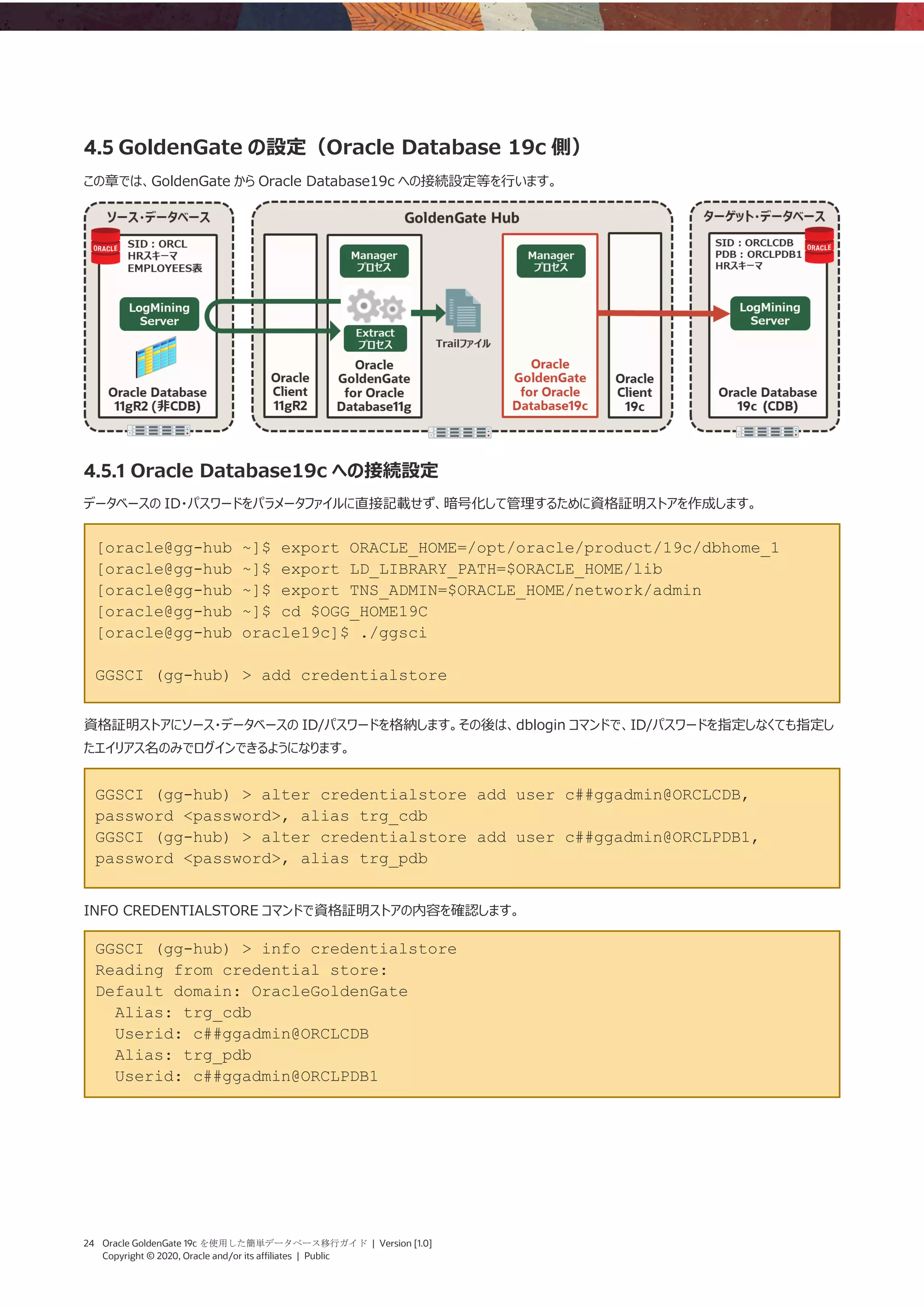 Oracle GoldenGate 19c を使用した 簡単データベース移行ガイド_v1.0 | PDF