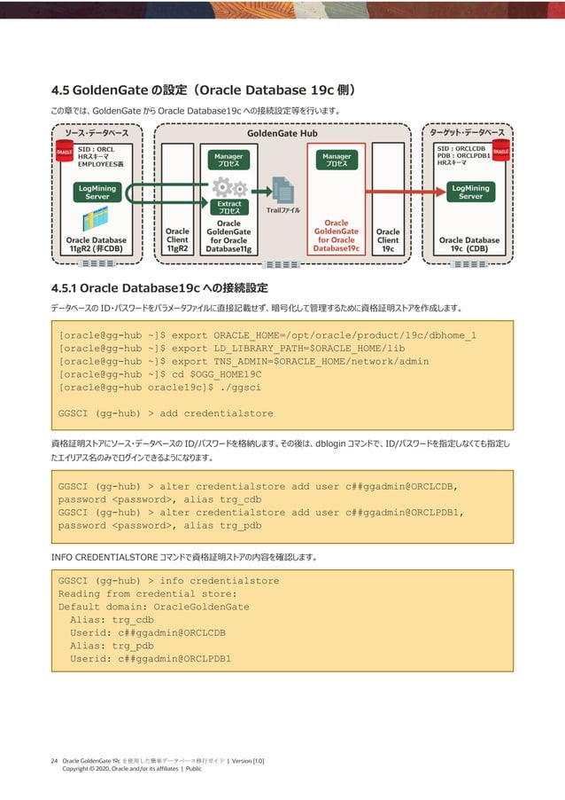Oracle GoldenGate 19c を使用した 簡単データベース移行ガイド_v1.0 | PDF