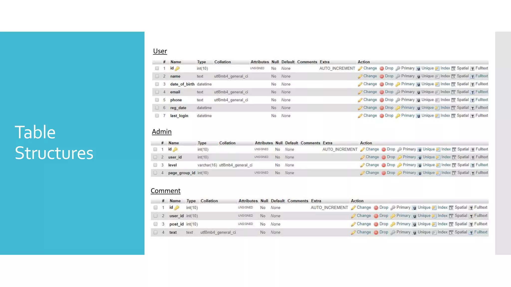 Database of a Simple Social Network | PPTX