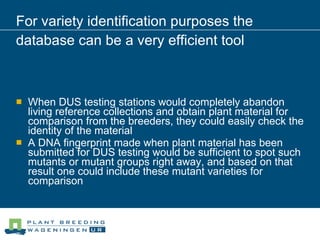 Database Of Rose Varieties Eucarpia Leiden 2009 | PPT
