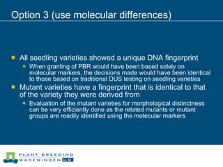 Database Of Rose Varieties Eucarpia Leiden 2009 | PPT