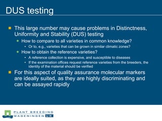 Database Of Rose Varieties Eucarpia Leiden 2009 | PPT