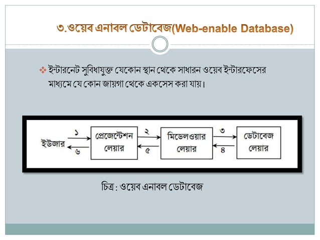 Database overview in bangla | PPTX