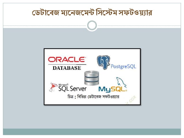 Database overview in bangla | PPTX