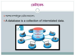 Database overview in bangla | PPTX