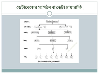 Database overview in bangla | PPTX