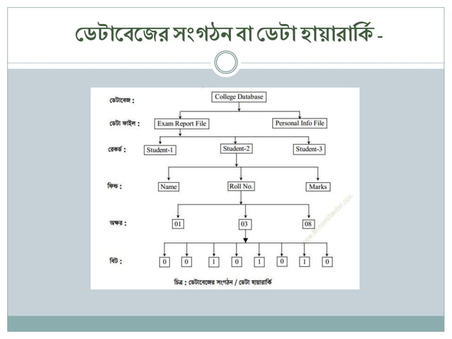 Database overview in bangla | PPTX