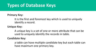 Database Keys & Relationship | PPTX