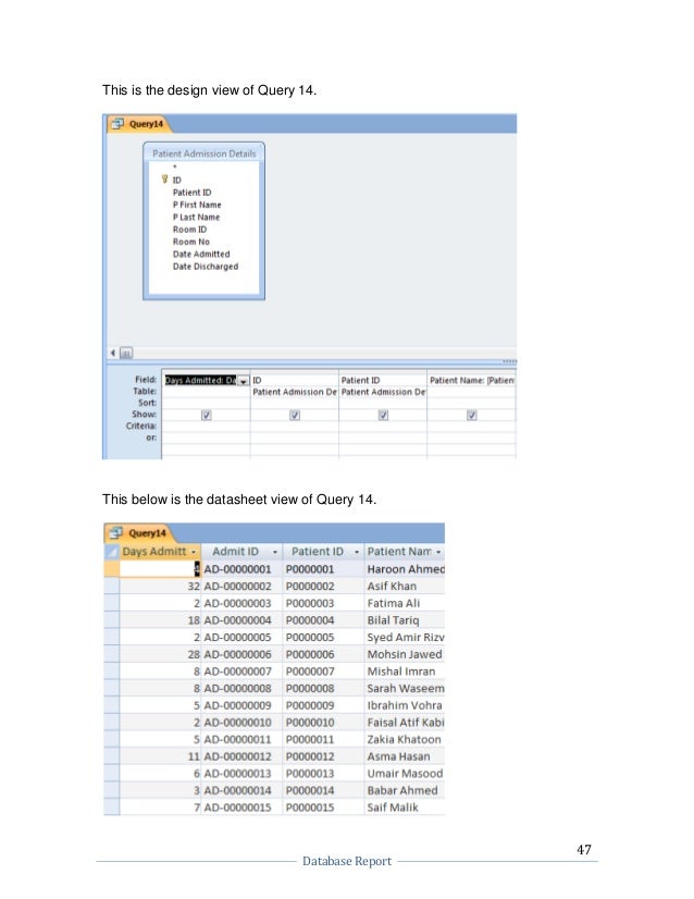 Database Management System Report