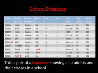 Basic Relational Databases | PPTX