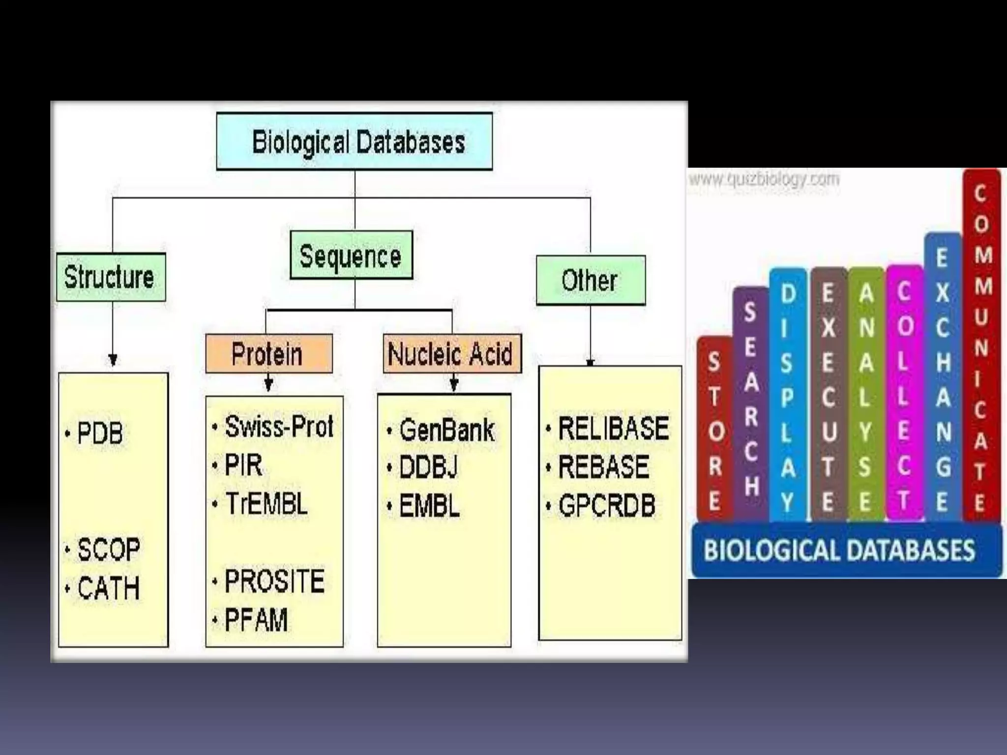 Databases.ppt