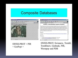 Databases.ppt