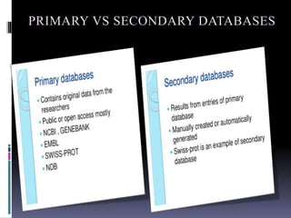 Databases.ppt