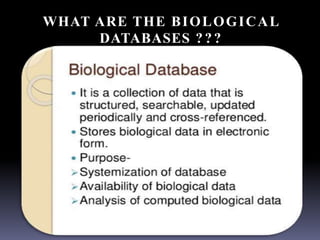 Databases.ppt