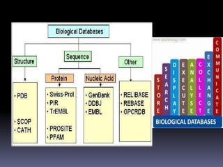 Databases.ppt