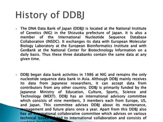 databases.pptx