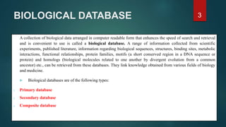 DATABASES...............................pptx