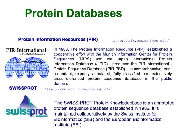 Databases Of Bioinformatics Pptx Databases Computer Software And Applications