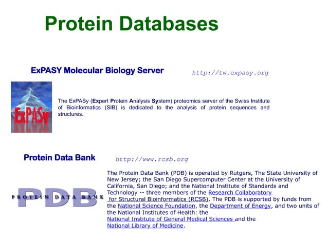 Databases Of Bioinformatics Pptx Databases Computer Software And Applications