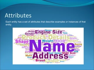 Entities and attributes | PPT | Databases | Computer Software and ...