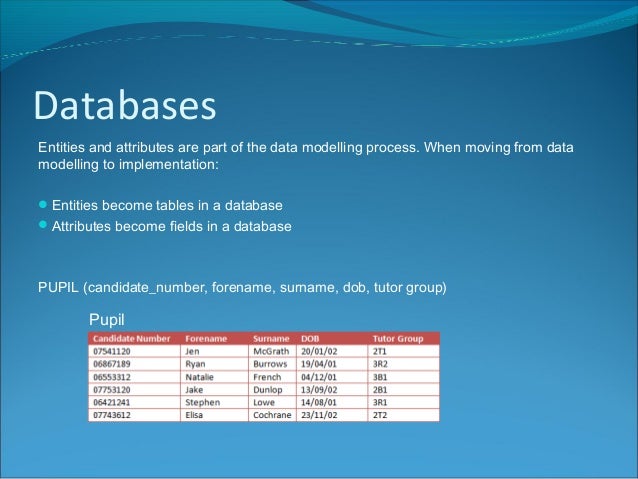 Entities and attributes