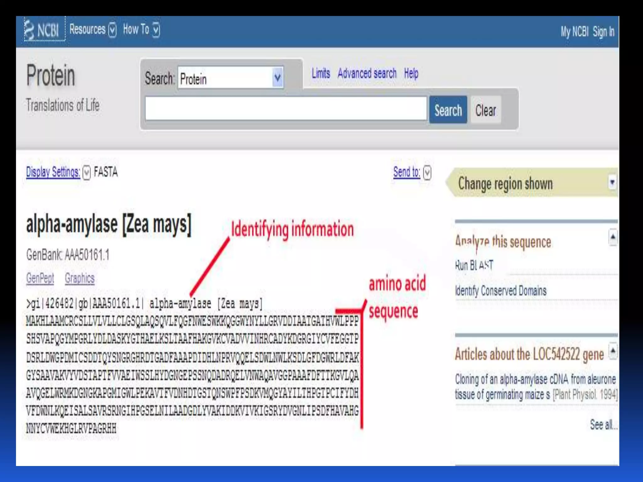 Data base searching tool | PPTX