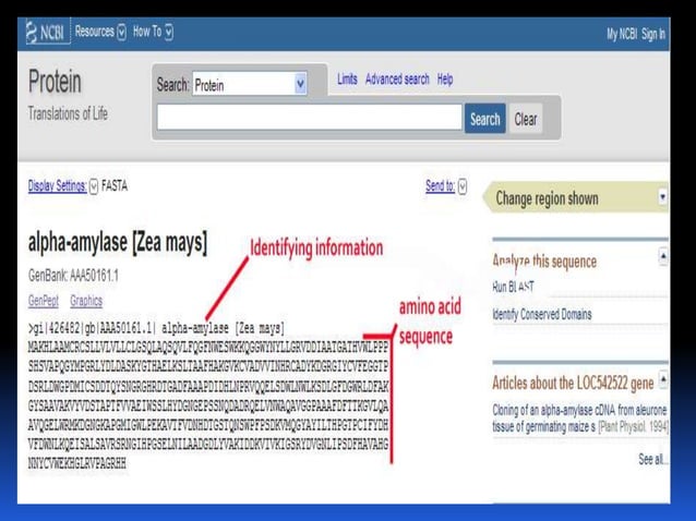 Data base searching tool | PPTX