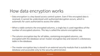 Database security | PPTX