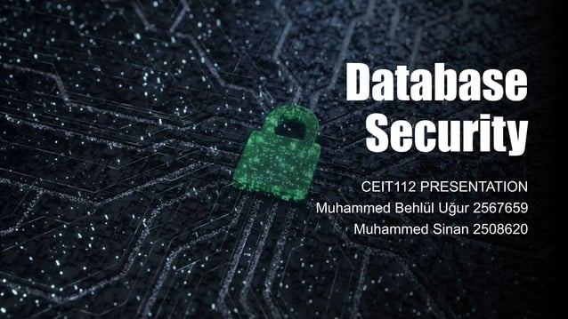 Database Securitypptx Databases Computer Software And Applications