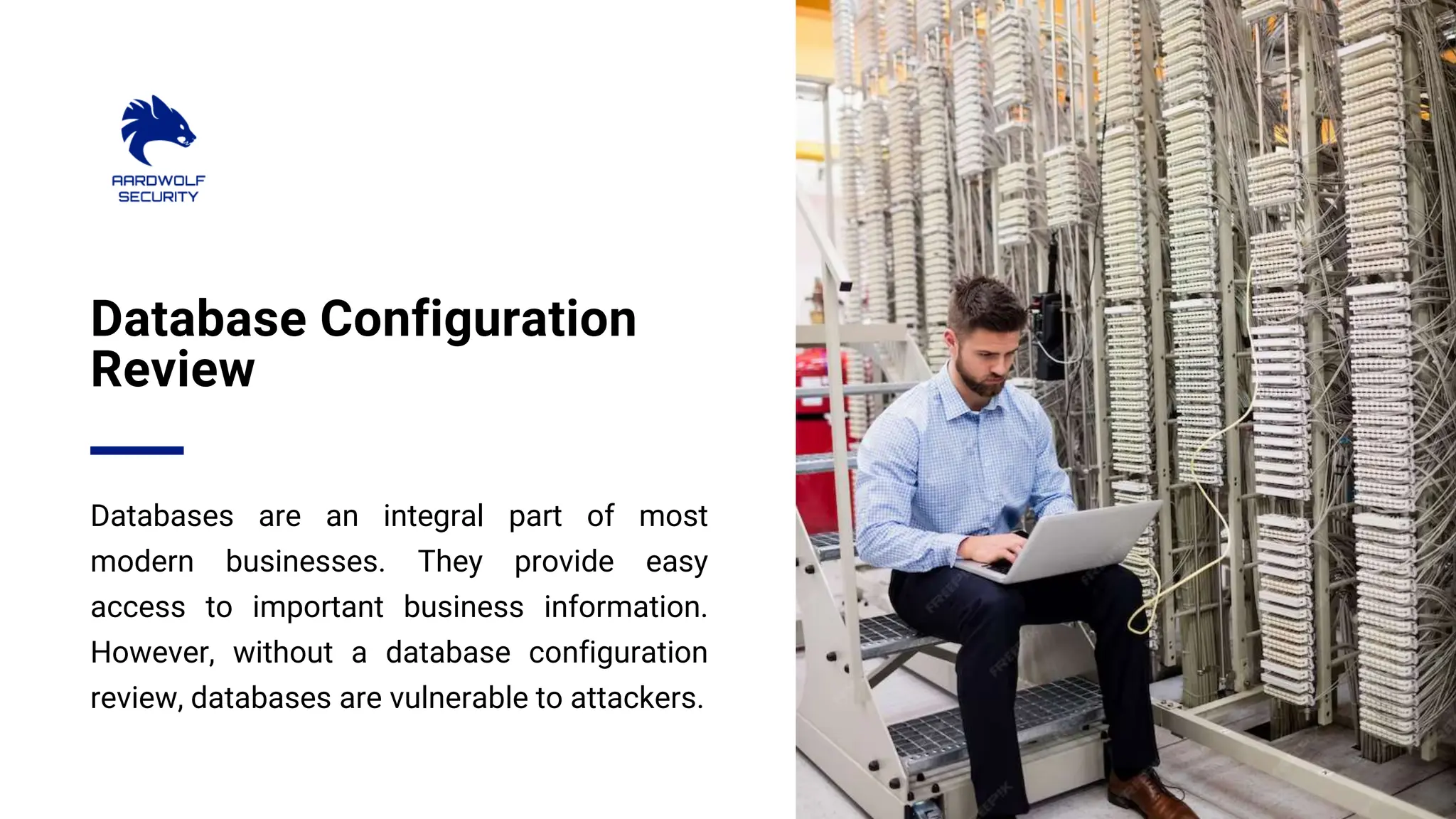 Database Security Best Practices And Solutions — Aardwolf Security Ppt