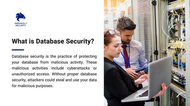 Database Security Best Practices And Solutions — Aardwolf Security Ppt