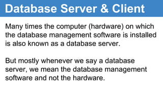 What is a database server and client ? | PPT