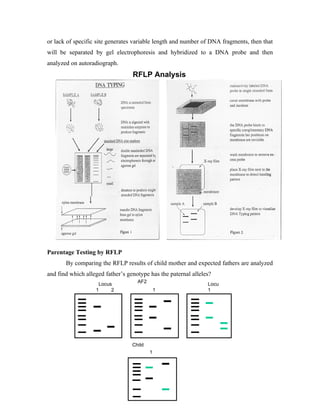 Databases used in forensic sciences and current status of this science ...