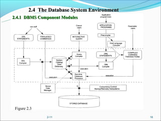 Database system | PPT