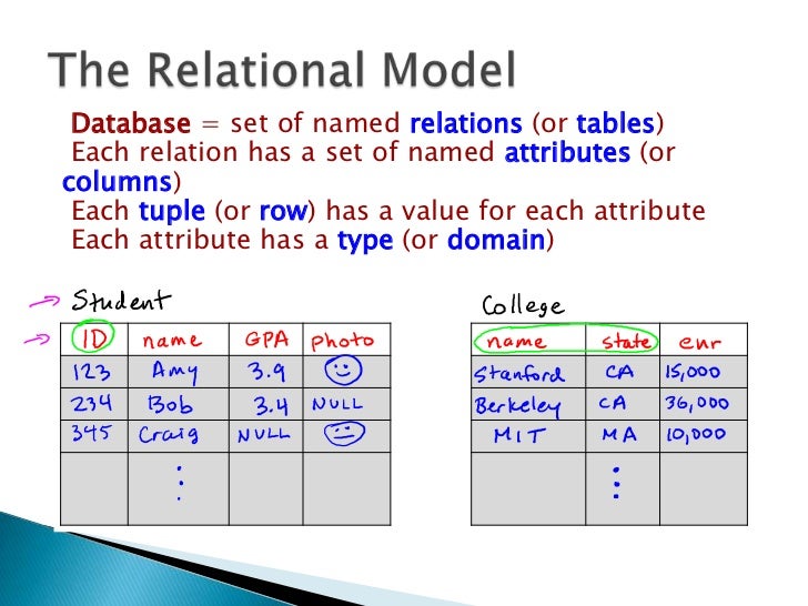 Database Basics and MySQL Database Basics and MySQL
