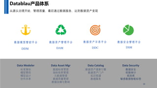 Datablau Overall.pdf