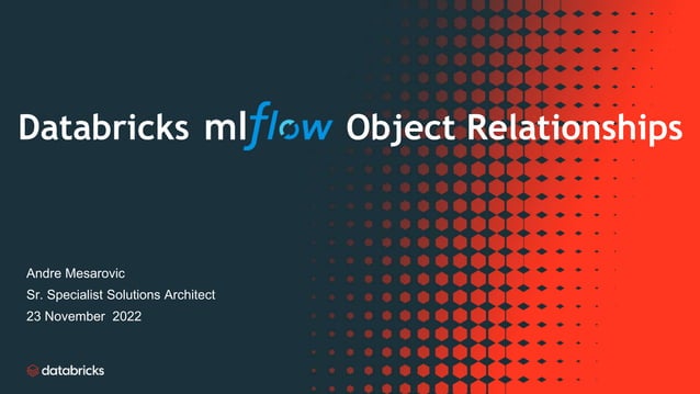 Databricks MLflow Object Relationships | PPT