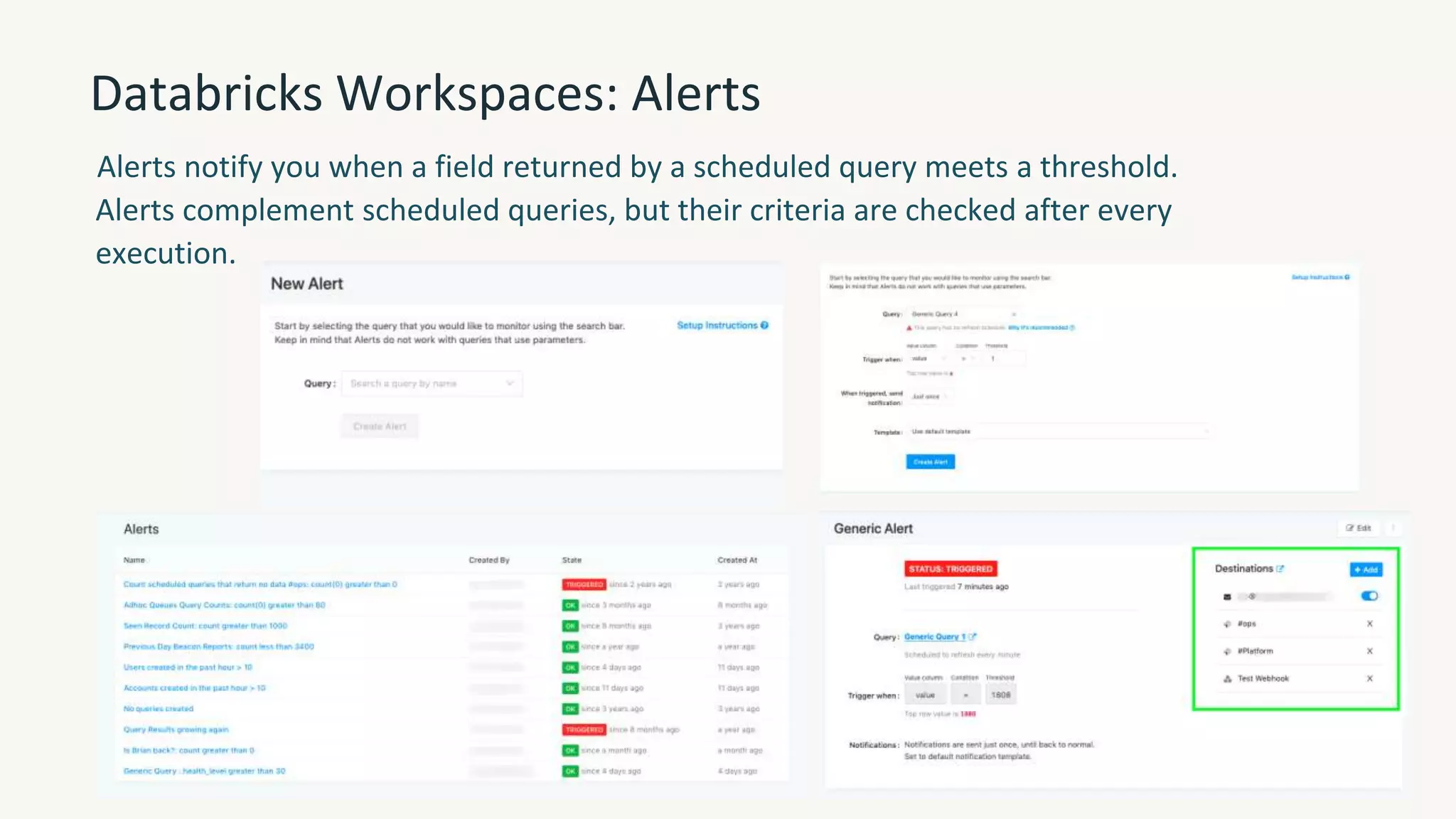 Databricks Platform.pptx
