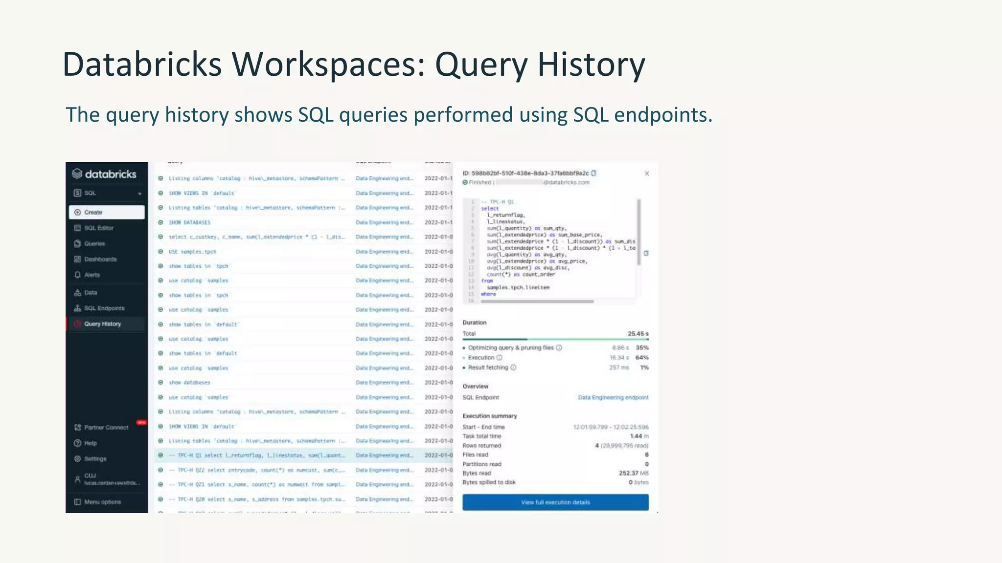 Databricks Platform.pptx