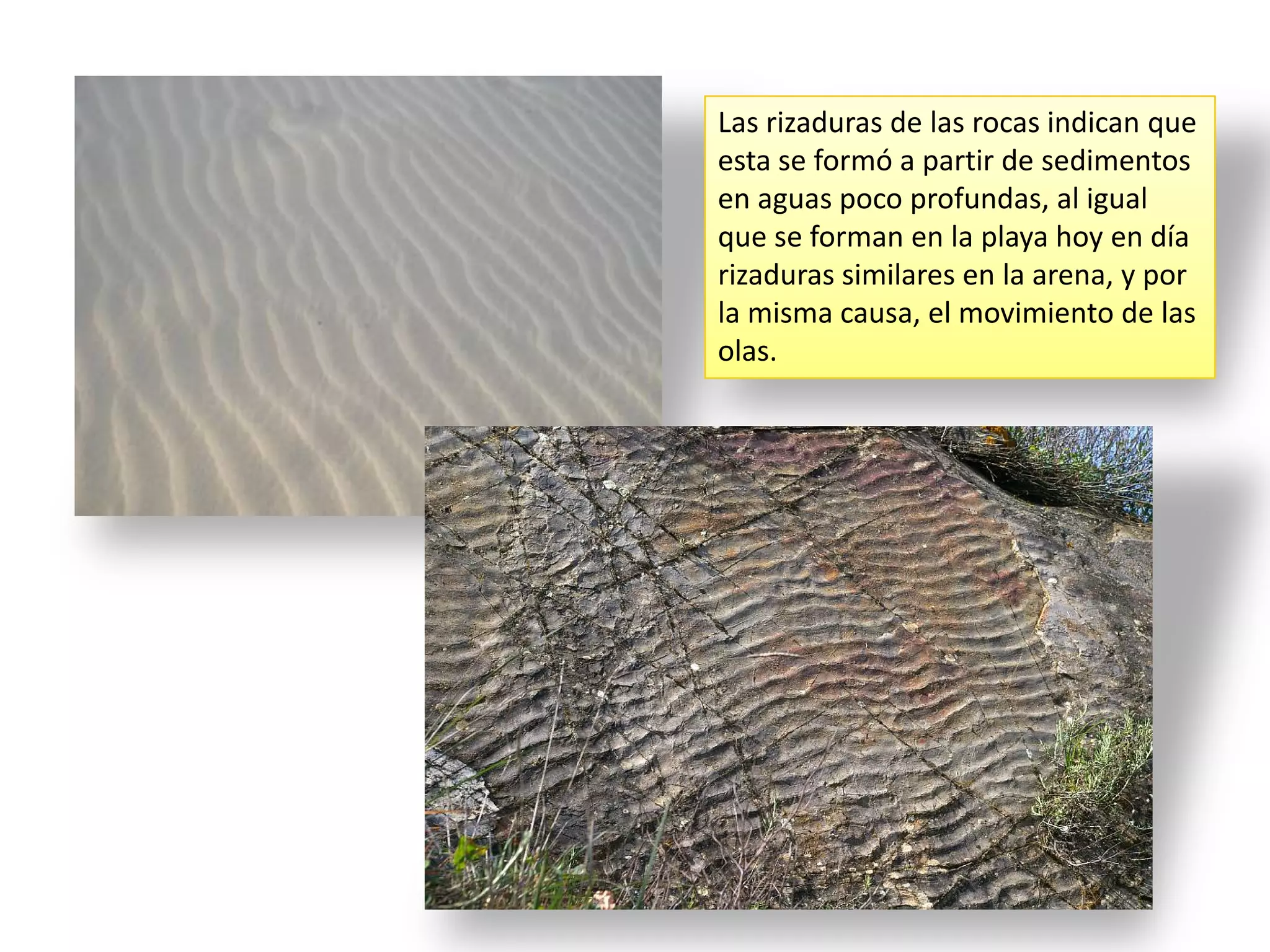 Dataciónes en geología. Datación relativa y absoluta. | PPTX