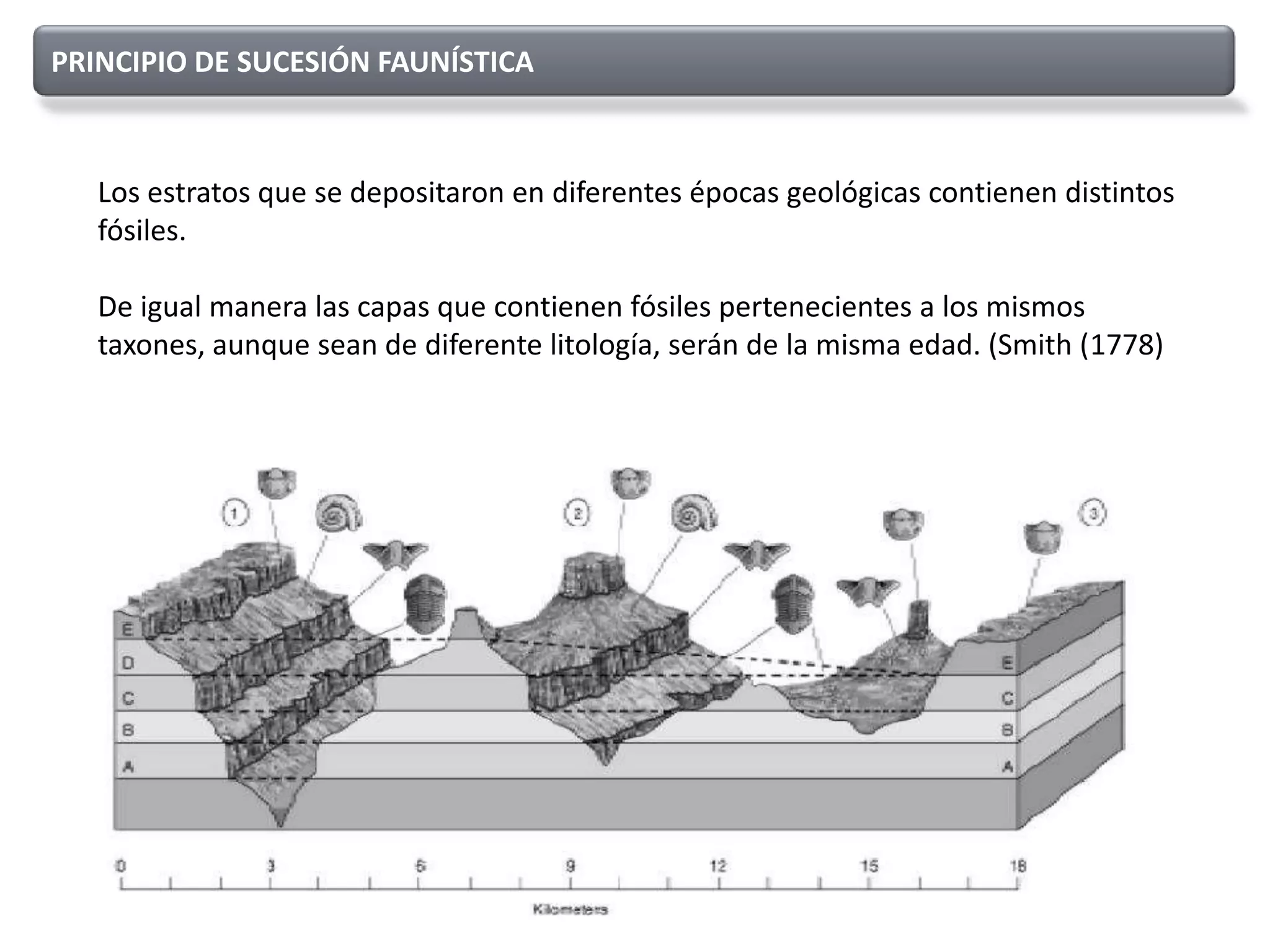 Dataciónes en geología. Datación relativa y absoluta. | PPTX