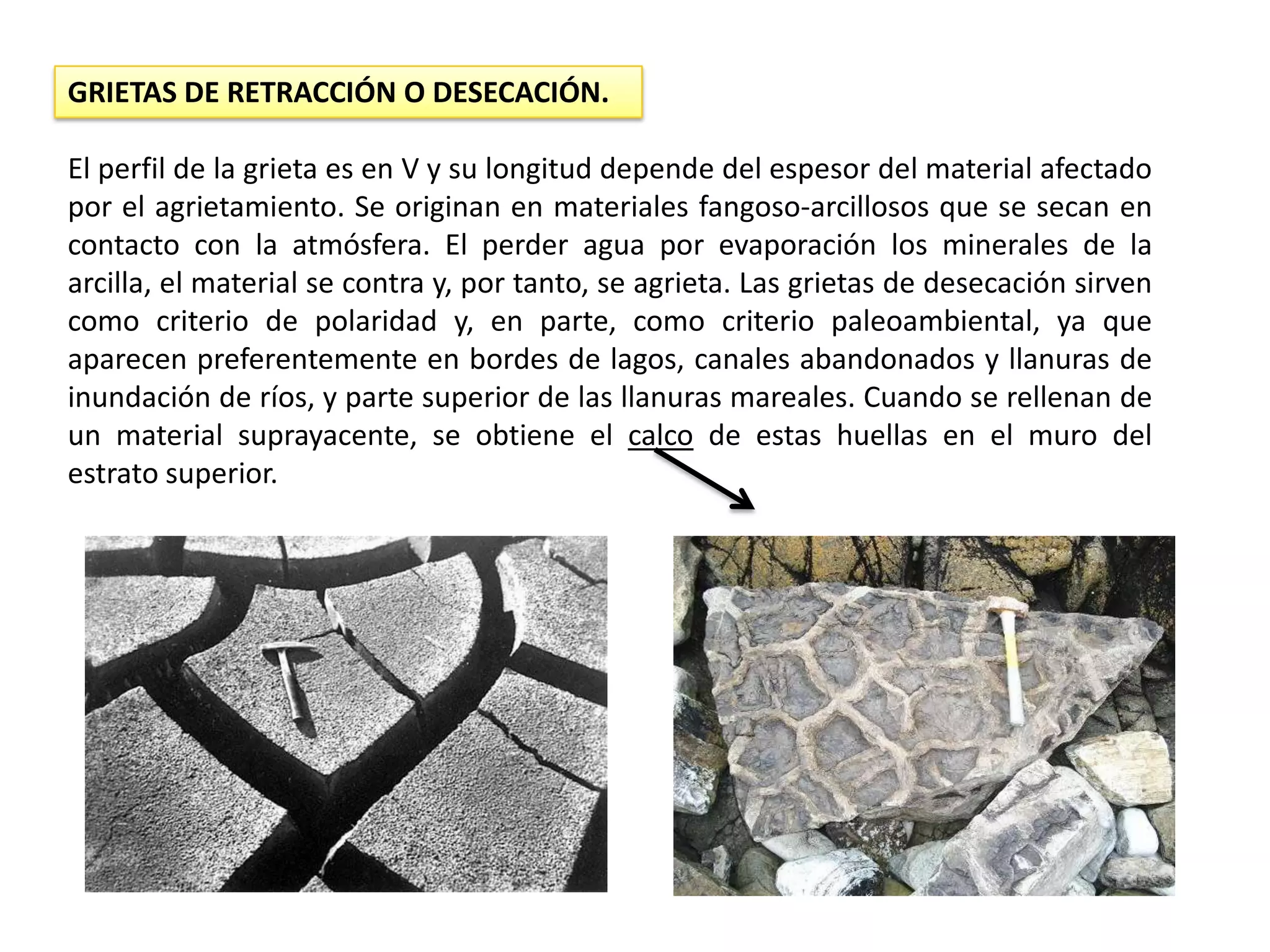 Dataciónes en geología. Datación relativa y absoluta. | PPTX