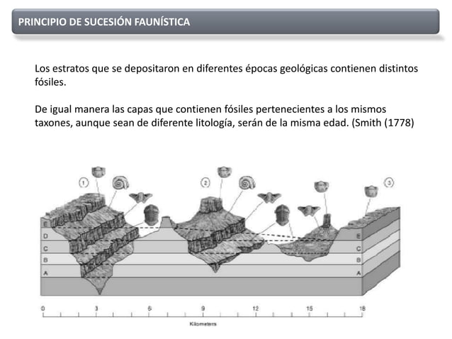 Dataciónes en geología. Datación relativa y absoluta. | PPTX